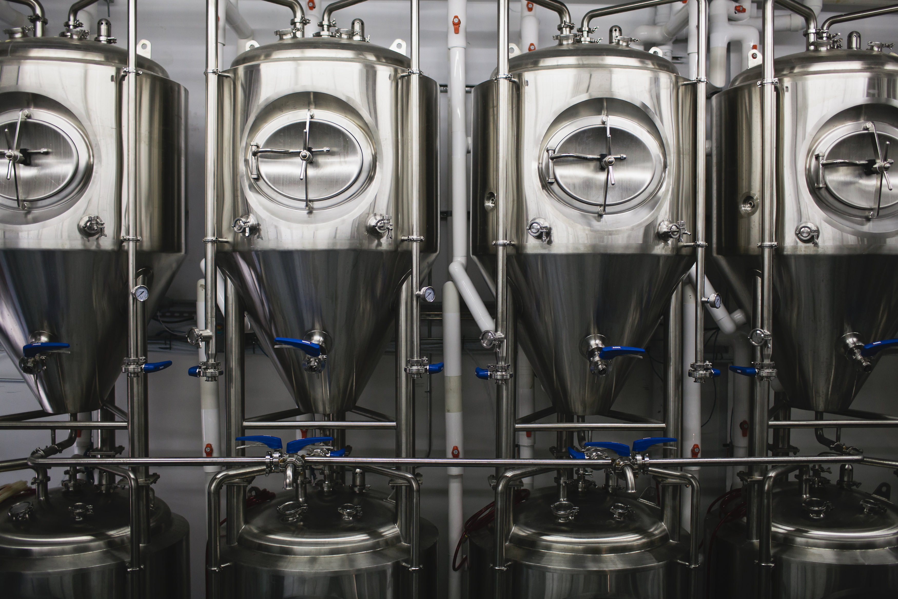 Budding Growth - White Labs Brewing Co.