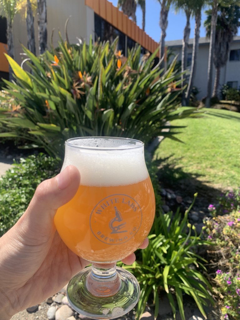 Meet The Brewer: Cameron's Kowhai(Ko-hi) R&D IPA - White Labs Brewing Co.